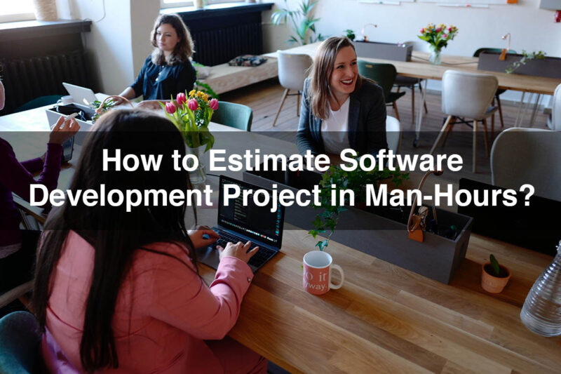 Software Estimate | How to Estimate Software Development In Man-Hours